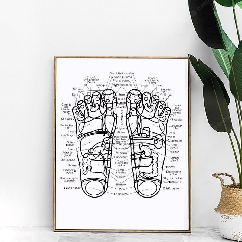 Reflexology Poster - Etsy