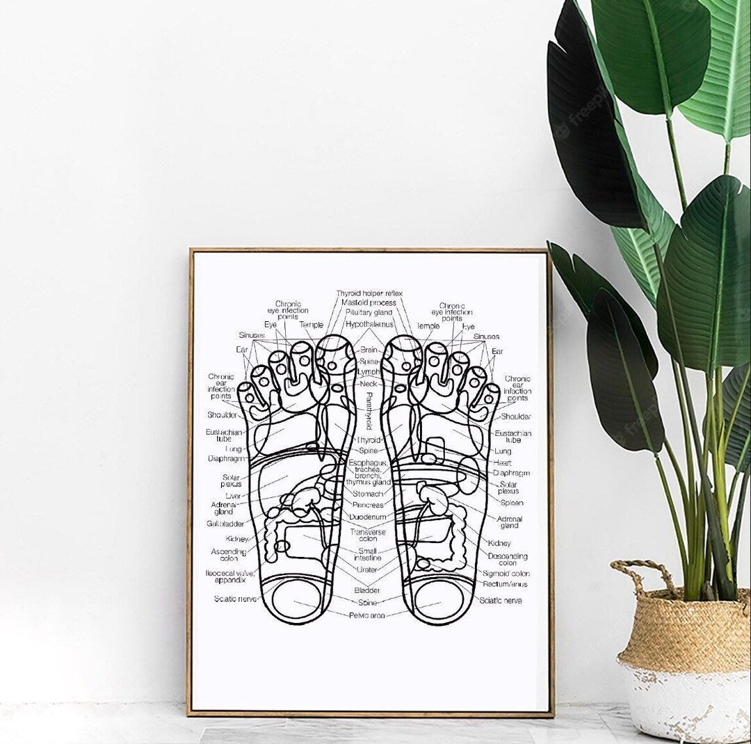 Reflexology Map, Massage Therapy, digital Download - Etsy