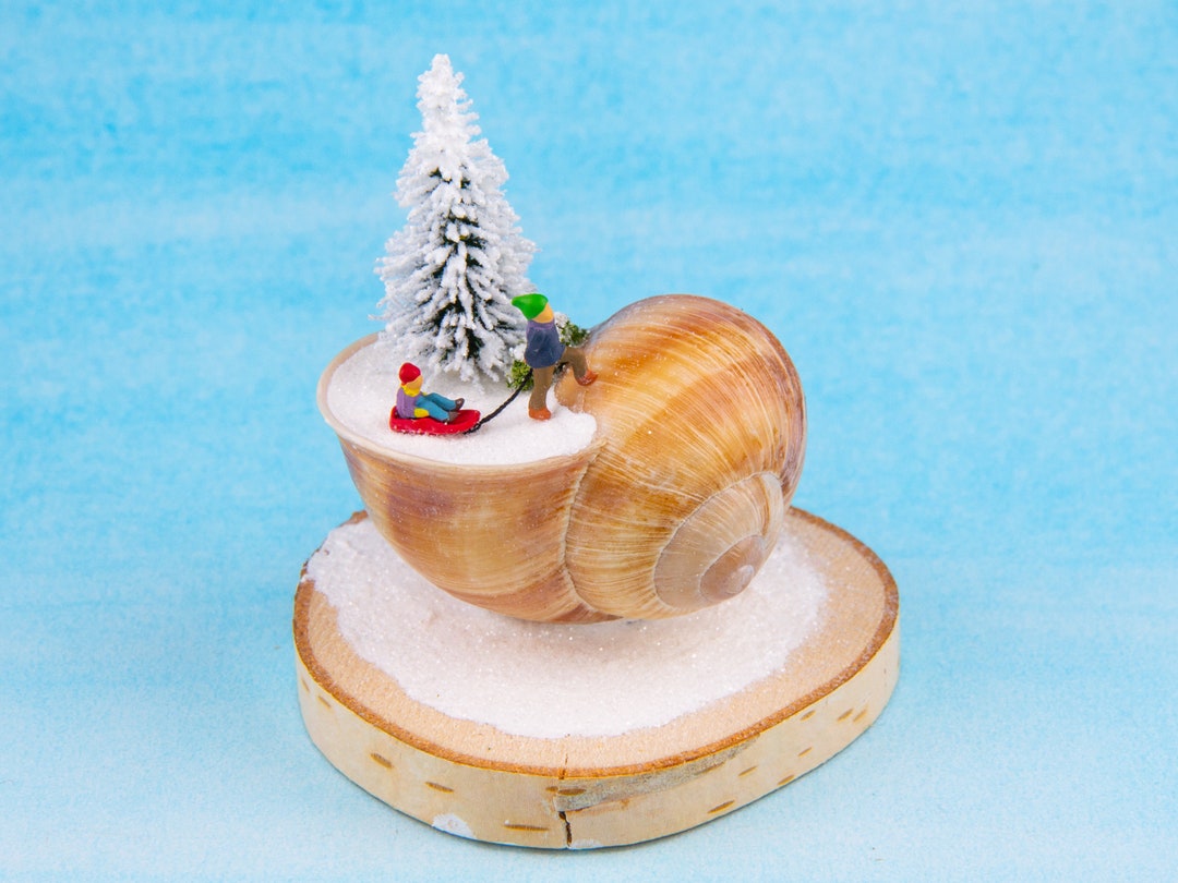 Snail Shell, Miniature Sleigh Ride - Etsy