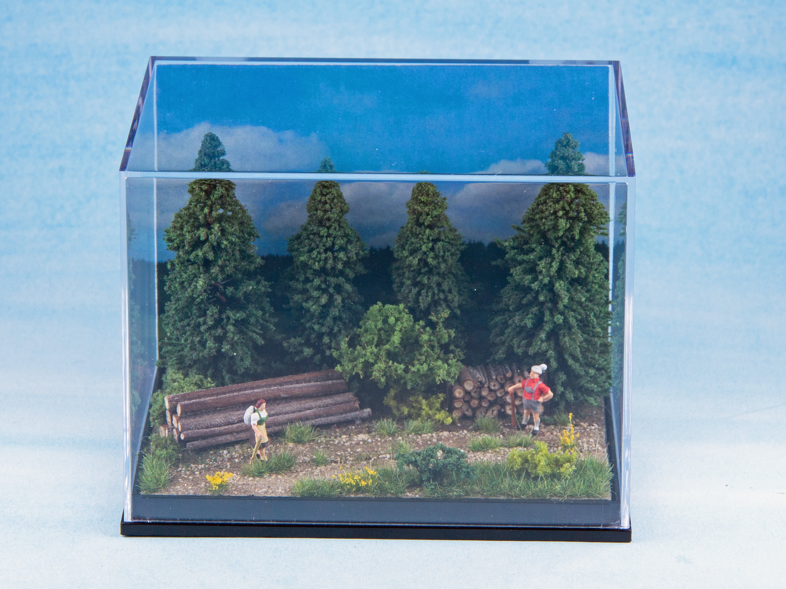 Diorama & 6 Cm Showcase Hearty Forest Walk - Etsy