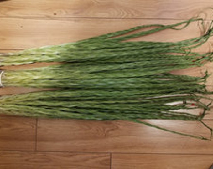 Sweet Grass Bundle - Organic - Home Grown on Our Land - Smudging ...