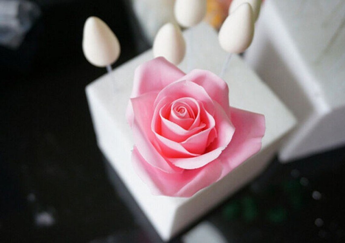 Rose Cutters Flower Cutter Fondant Roses 6 Pieces Set Plastic Fondant ...
