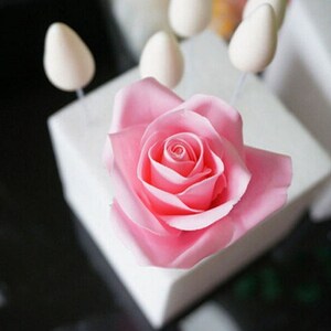 Rose Cutters Flower Cutter Fondant Roses 6 Pieces Set Plastic Fondant ...