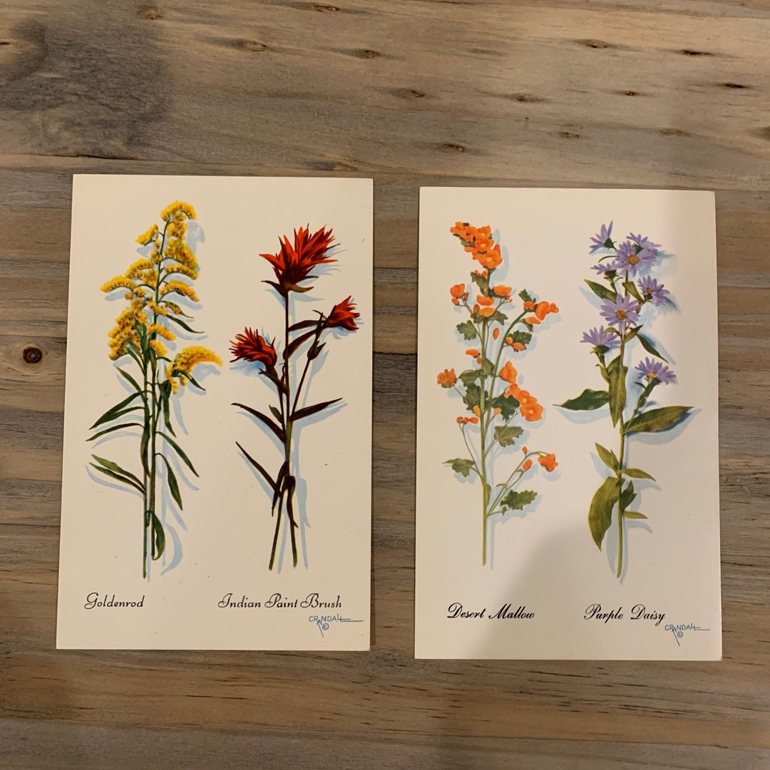 Vintage Flower Postcard Set - Etsy