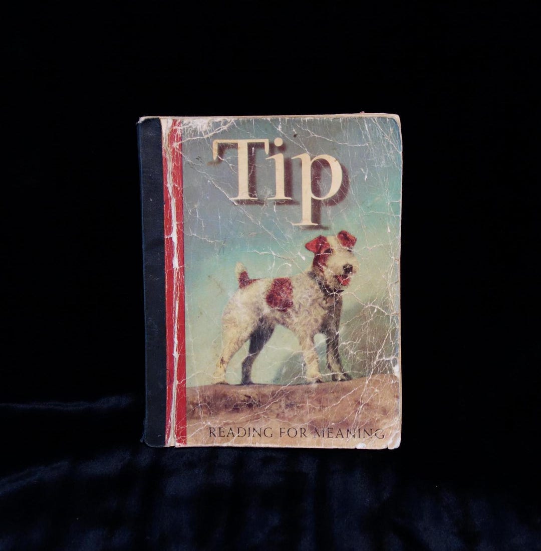 Tip First Reader Houghton Mifflin School Book for Homeschool 1957 ...