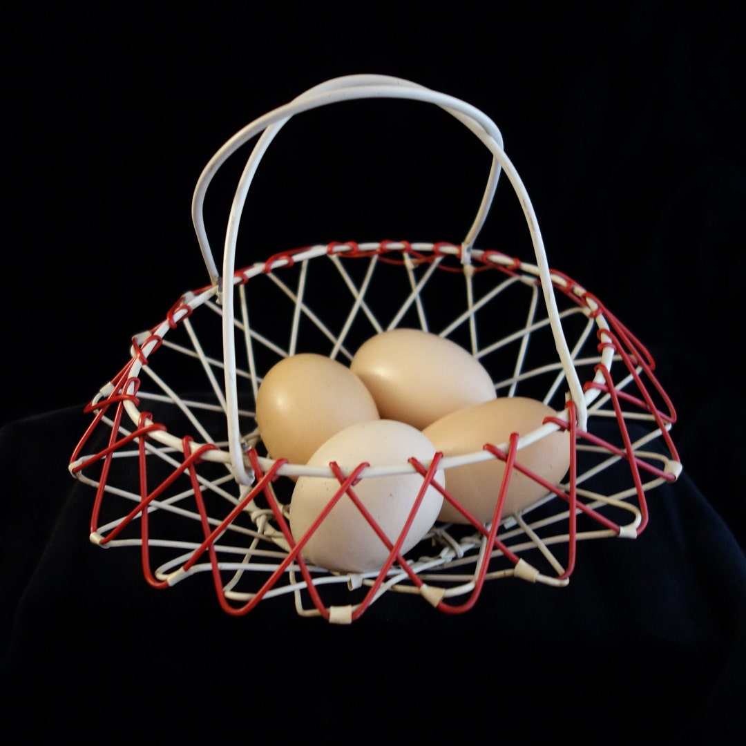 Vintage Red White French-style Collapsible Egg Basket Carrier, for ...