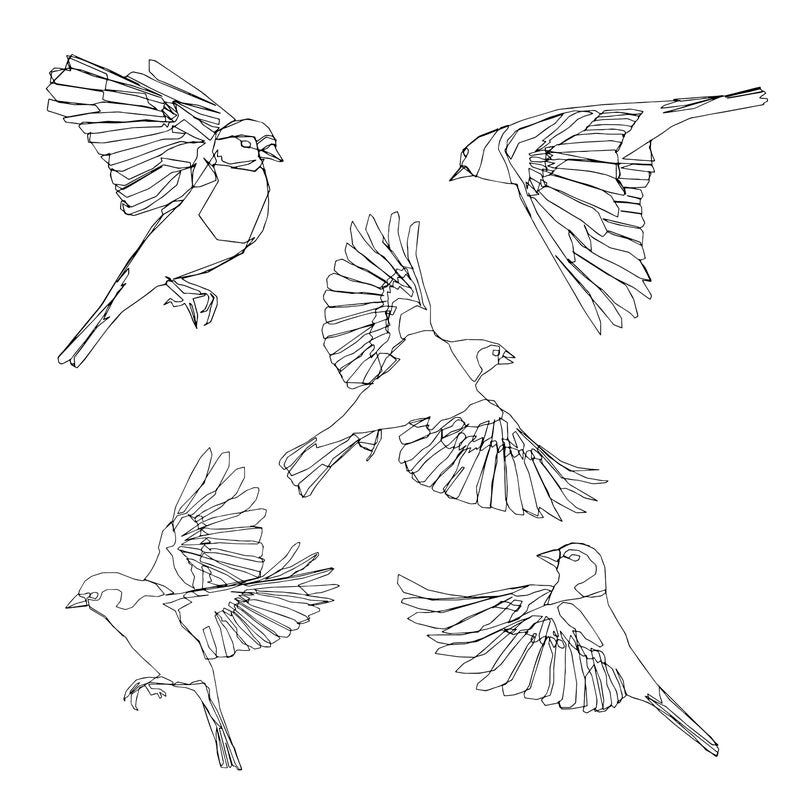 Birds in Flight Digital Download - Etsy