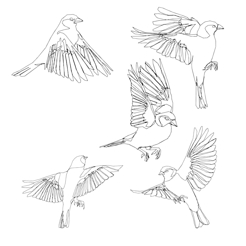 Birds in Flight Digital Download - Etsy