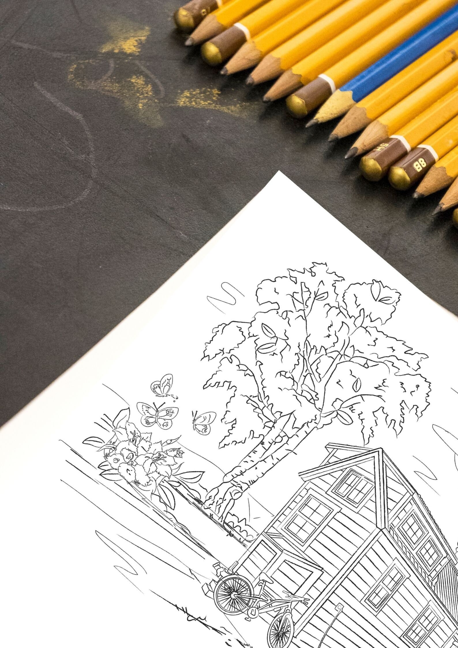 Tiny House Coloring Page- Colorable - Tiny Cabin- DIY Coloring - Etsy