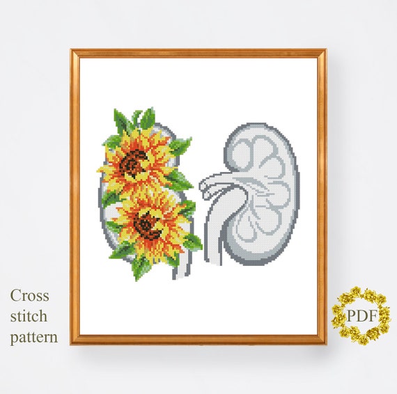 Kidneys Floral Modern Cross Stitch Pattern PDF Anatomy | Etsy
