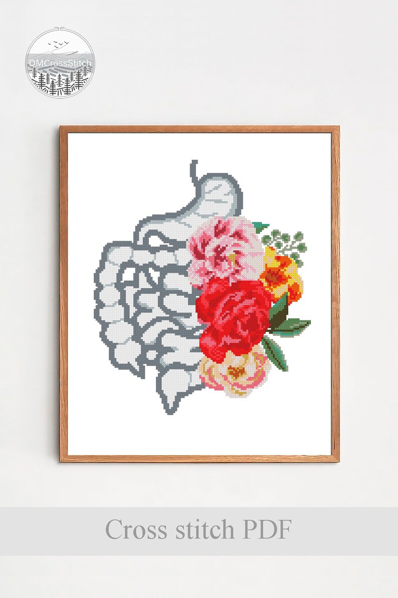 Stomach Modern Cross Stitch Pattern PDF Intestines Anatomy - Etsy