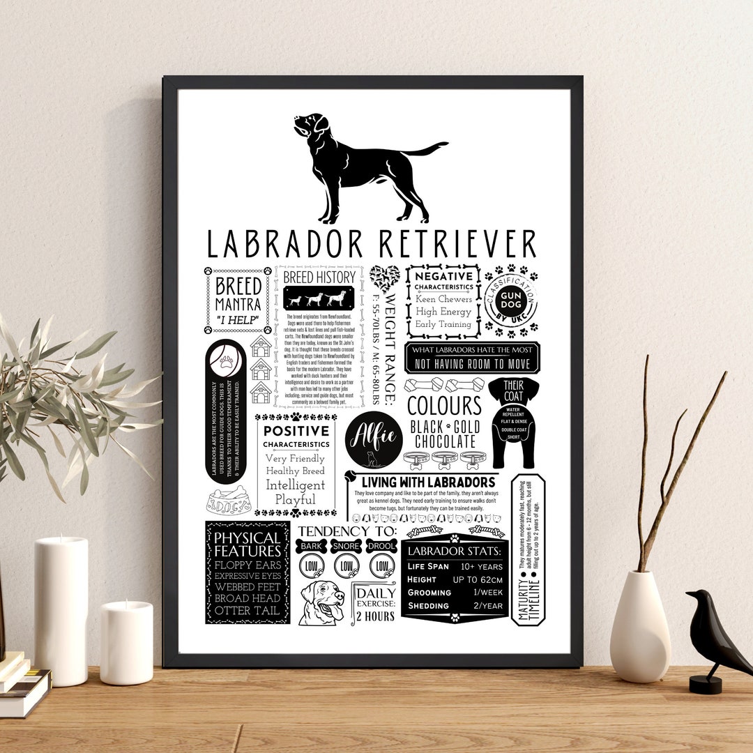 Labrador Retriever Fact Print | Personalised With Dogs Name | Dog Lover ...