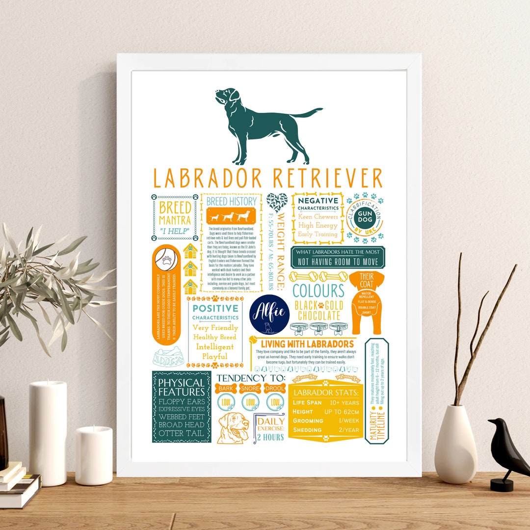Labrador Retriever Fact Print | Personalised With Dogs Name | Dog Lover ...