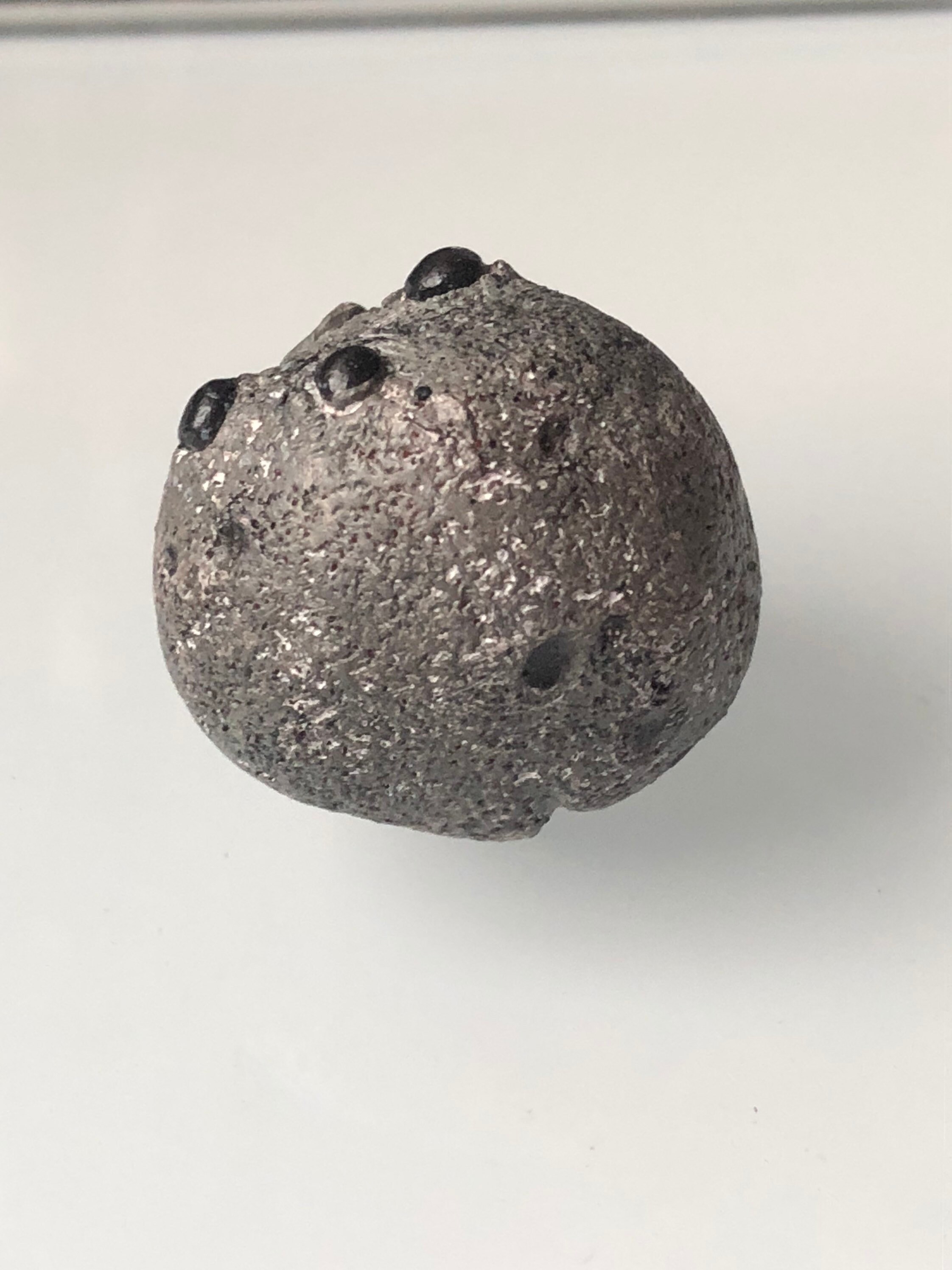 Clay Pet stone Hector | Etsy