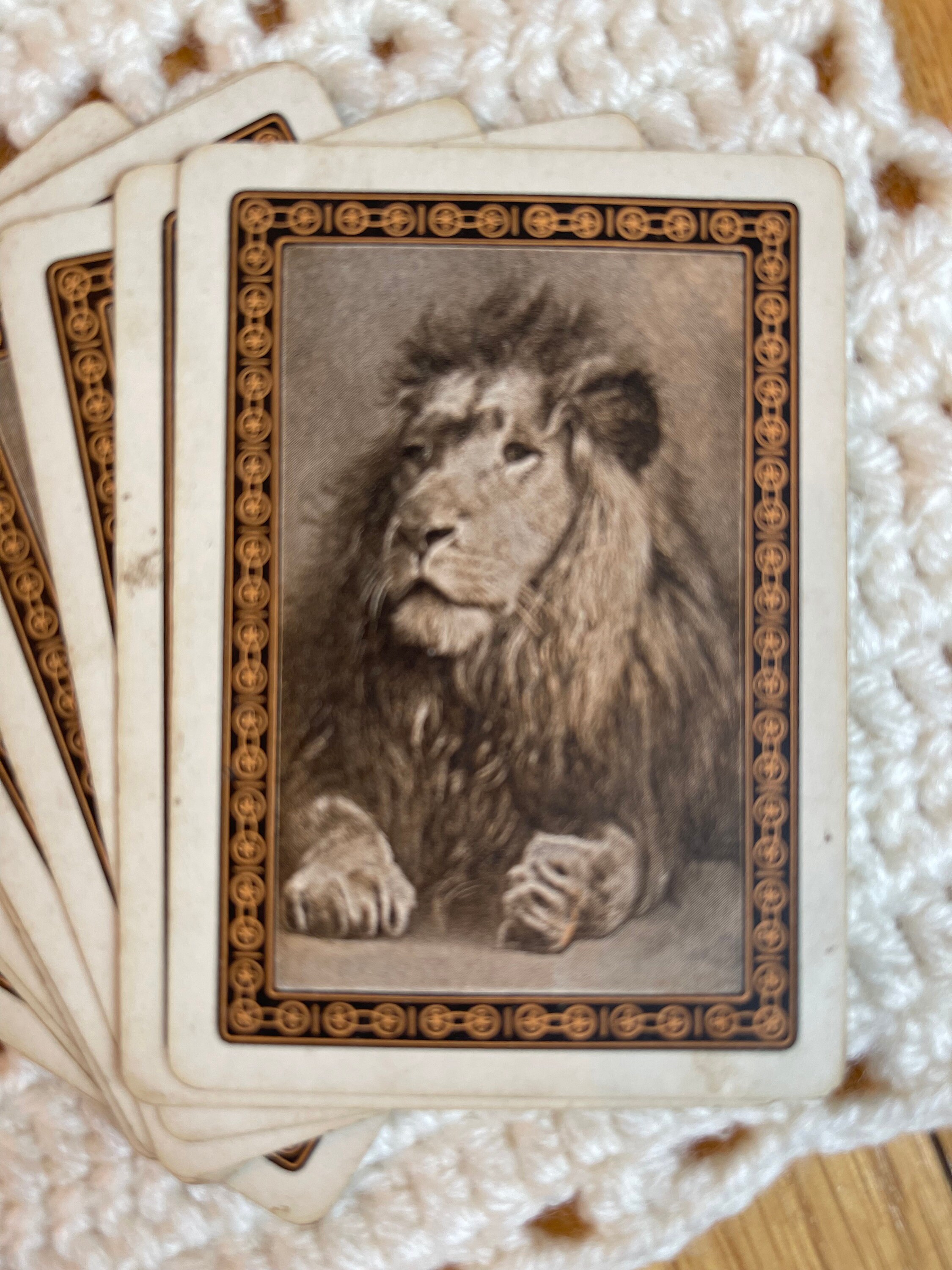 Rare Vintage 1903 Wild Animals Educational Game Deck of Cards From the ...
