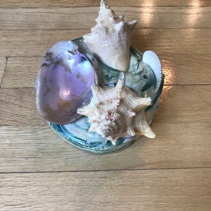 Vintage Decorative Beach Shells / Conch Shells Centerpiece Ash Tray - Etsy