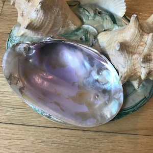 Vintage Decorative Beach Shells / Conch Shells Centerpiece Ash Tray - Etsy