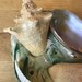 Vintage Decorative Beach Shells / Conch Shells Centerpiece Ash Tray - Etsy