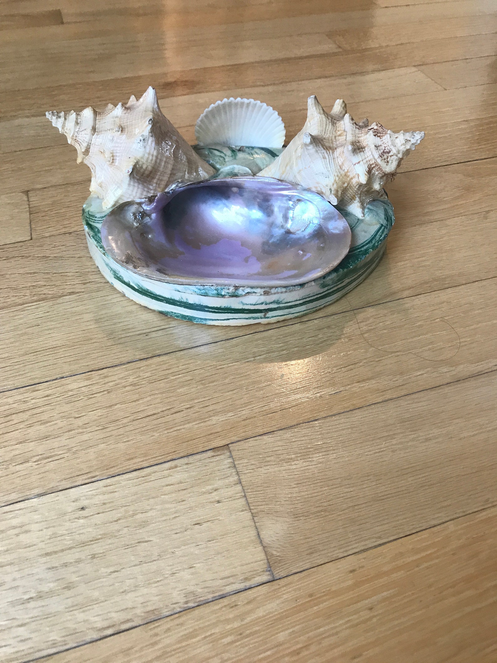 Vintage Decorative Beach Shells / Conch Shells Centerpiece Ash - Etsy