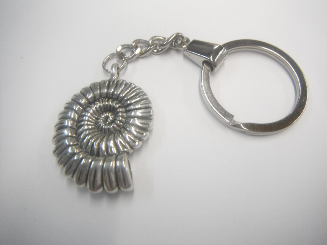 Polished Metal Ammonite Fossil Keyring Gift Boxed - Etsy