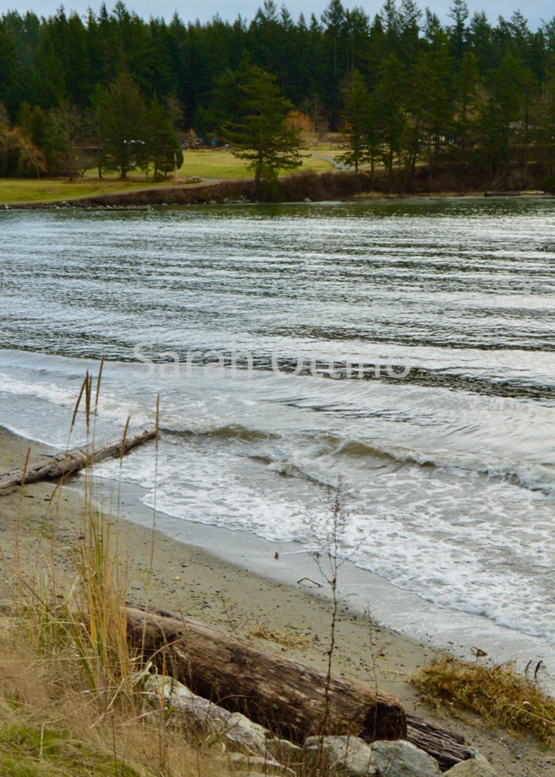 Buck Bay Digital Photo - Etsy