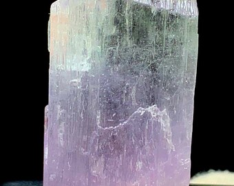 Kunzite Crystal Terminated Complete and Undamaged Bi-color | Etsy