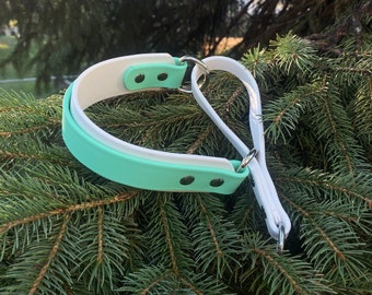 Biothane Martingale Collar - Etsy