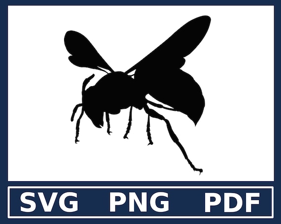 Hornet SVG Clipart Animal Design Silhouette Digital Download - Etsy
