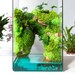 Preserved Moss Terrarium | Geometric Terrarium | Green Cliff Terrarium ...