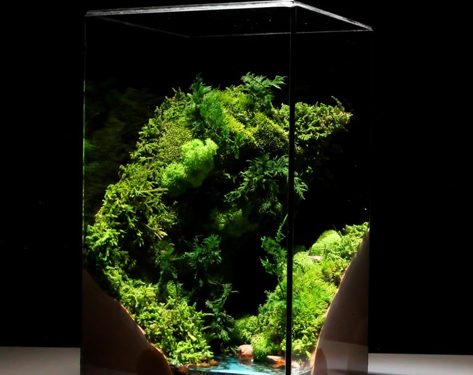 Preserved Moss Terrarium Geometric Terrarium Green Cliff Terrarium ...