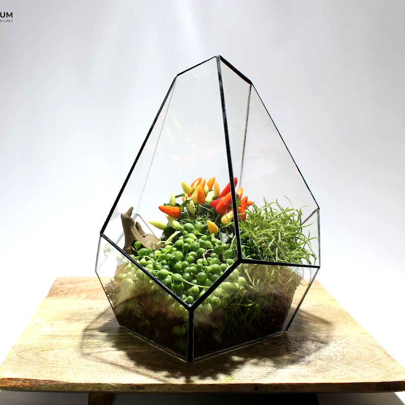 Glass Terrarium - Etsy
