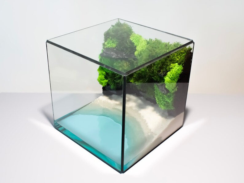 Moss Terrarium, Lagoon Cliff Terrarium, Glass Terrarium, Florarium ...