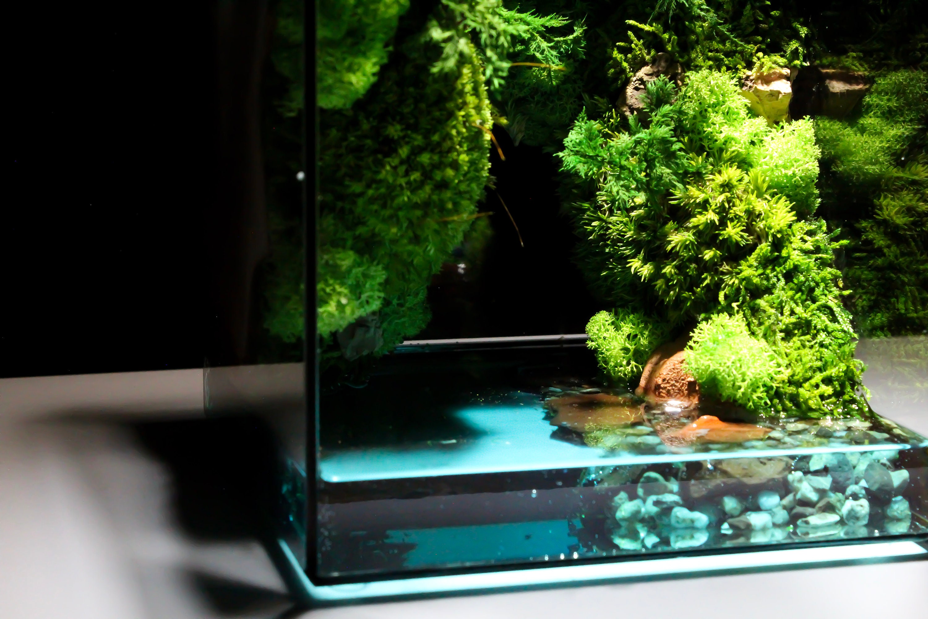 Preserved Moss Terrarium | Geometric Terrarium | Green Cliff Terrarium ...