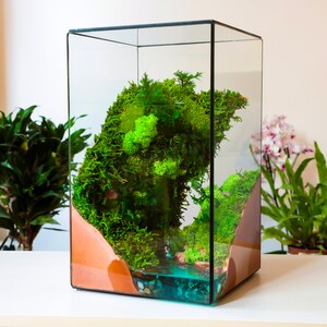 Preserved Moss Terrarium | Geometric Terrarium | Green Cliff Terrarium ...
