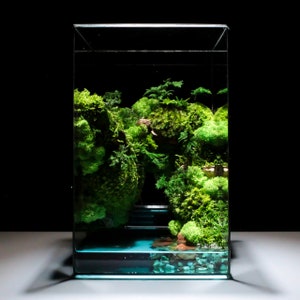 Preserved Moss Terrarium | Geometric Terrarium | Green Cliff Terrarium ...