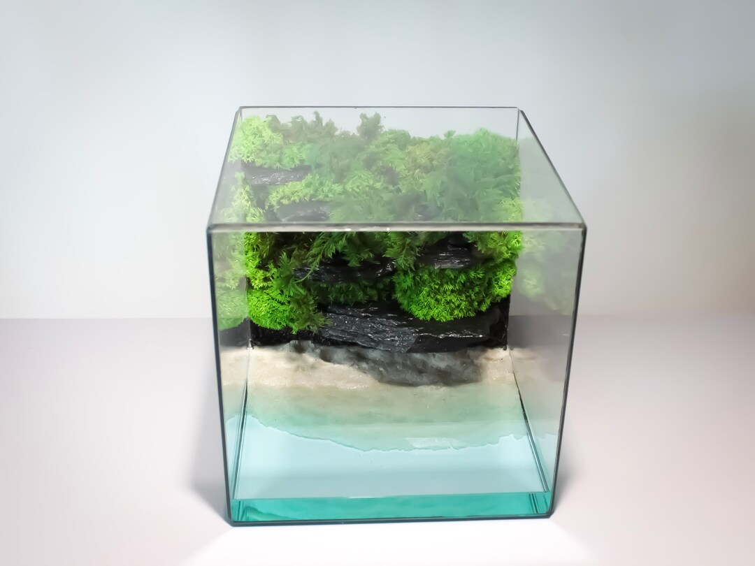 Moss Terrarium, Ocean Cliff Terrarium, Glass Terrarium, Florarium ...