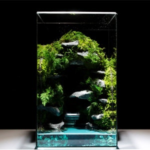 Green Cliff Terrarium - Captivating Moss & Resin Seascape | Maintenance ...