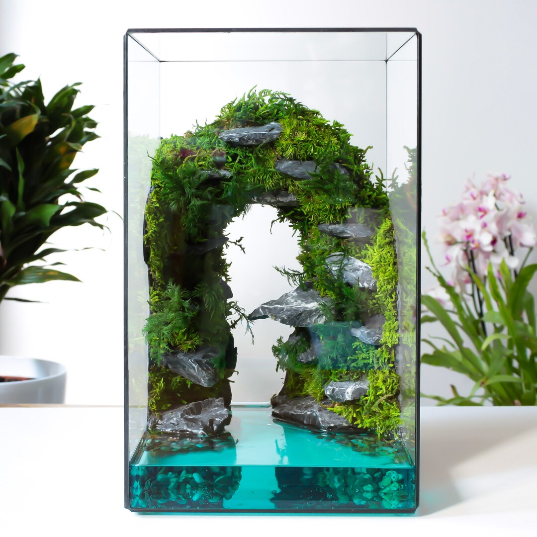Green Cliff Terrarium - Captivating Moss & Resin Seascape | Maintenance ...
