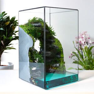 Green Cliff Terrarium - Captivating Moss & Resin Seascape | Maintenance ...