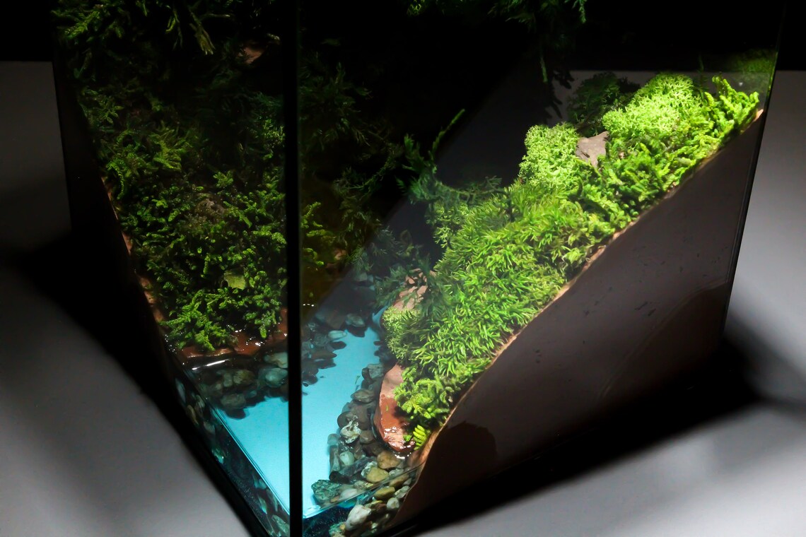 Preserved Moss Terrarium | Geometric Terrarium | Green Cliff Terrarium ...
