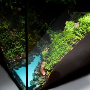 Preserved Moss Terrarium | Geometric Terrarium | Green Cliff Terrarium ...