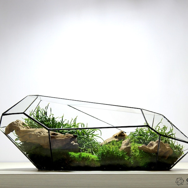 Geometric Terrarium - Etsy