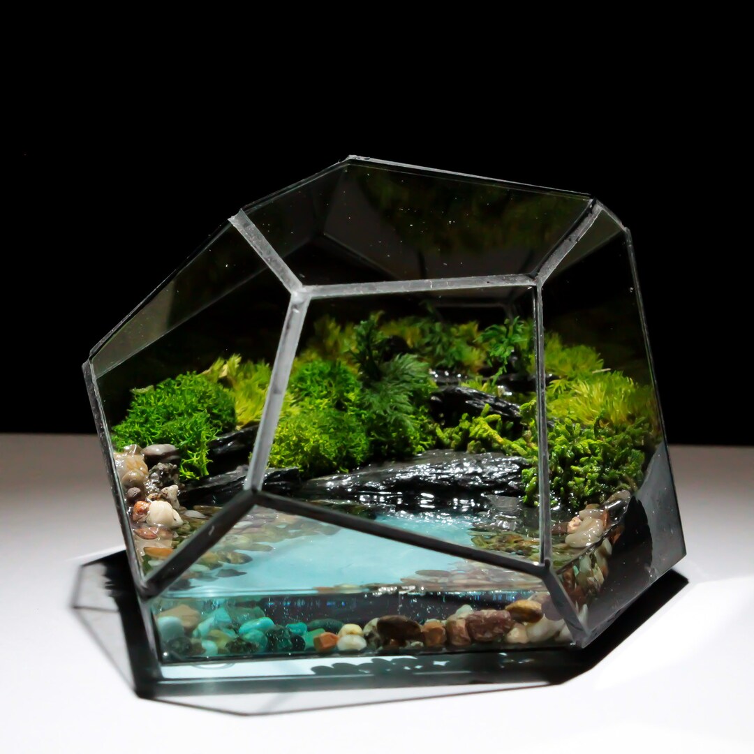Preserved Moss Terrarium | Geometric Terrarium | Green Cliff Terrarium ...