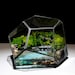 Preserved Moss Terrarium, Phobos Geometric Terrarium, Minimalist Desk ...