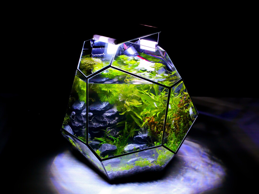 Nano Aquarium Kit Small Tank Setup Geometric Fish Tank Shrimp Set Mini ...