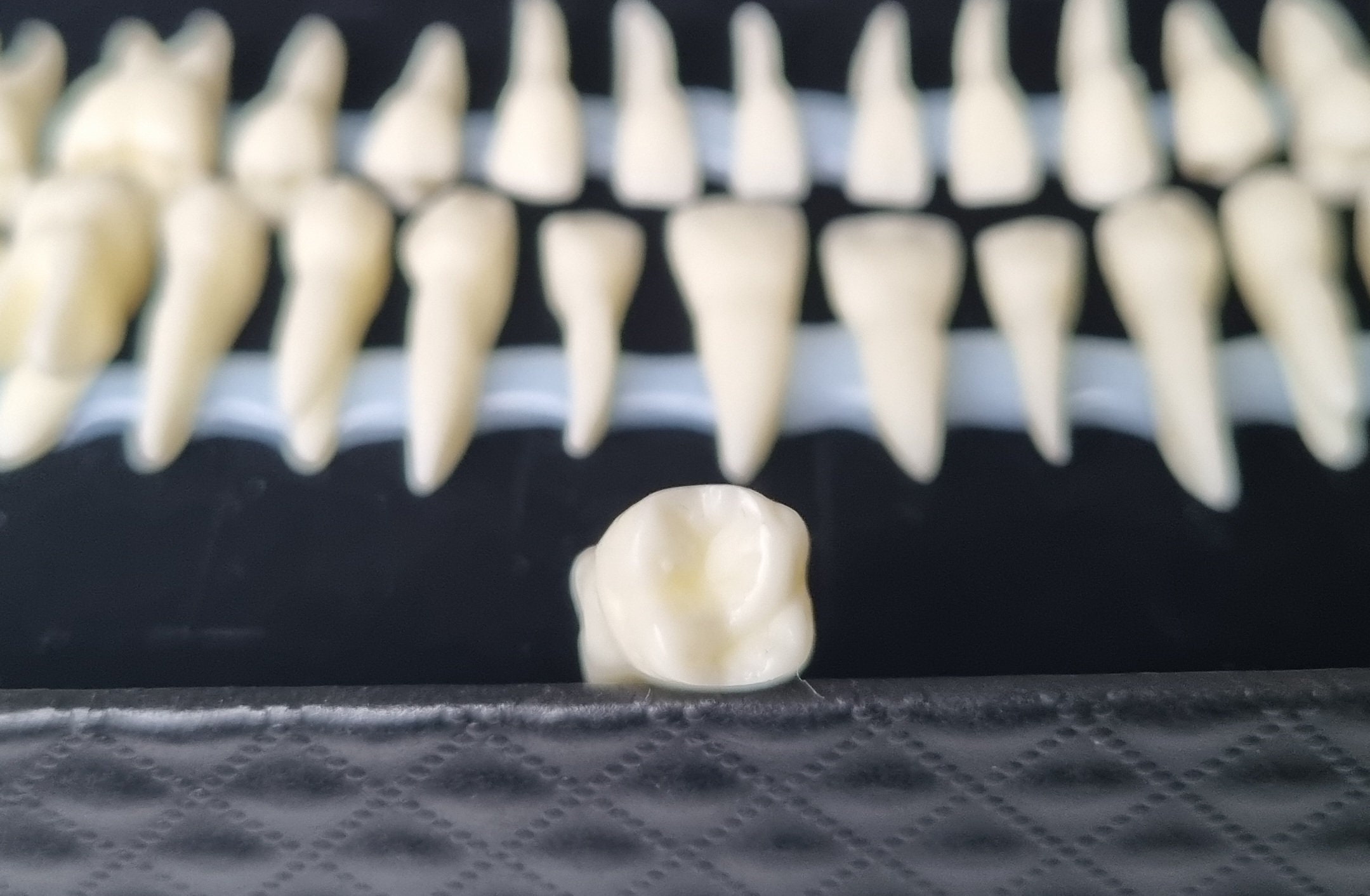 28 Resin Teeth. Realistic Morbid Human Tooth Set.full Grown - Root ...