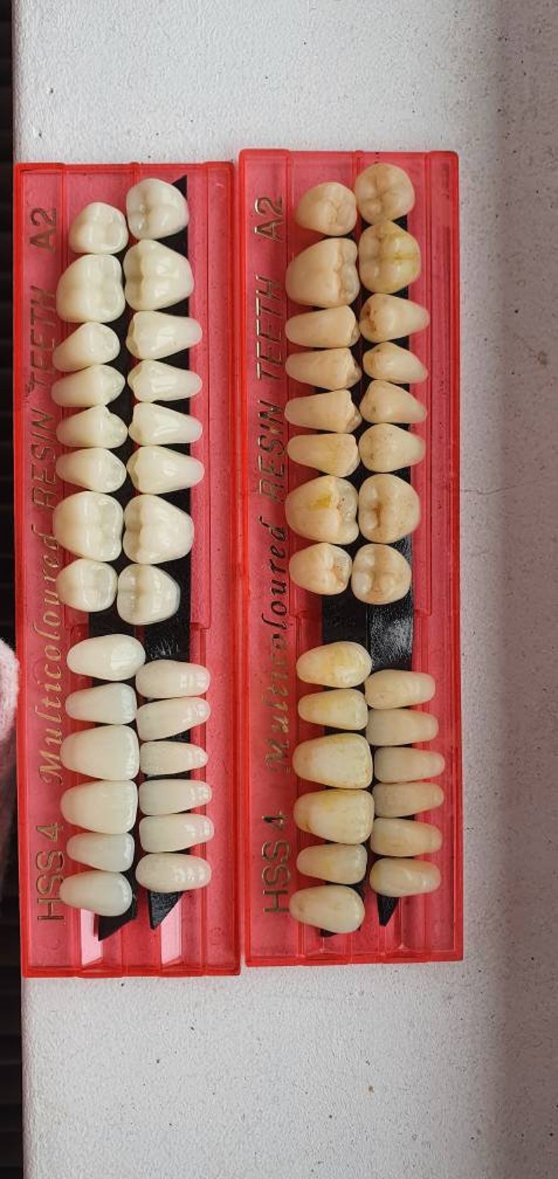 28 Resin Teeth. Realistic Morbid Human Tooth Set. Perfect for Halloween ...