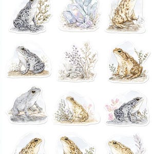 Woodland Creatures and Bird Stickers (bundle of 25) - Etsy