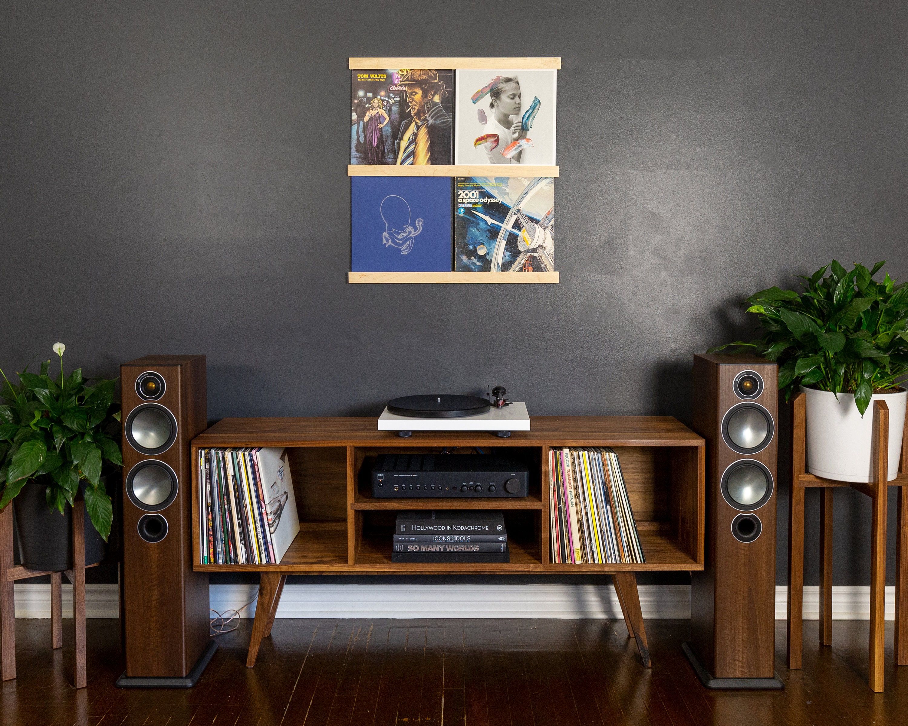 Vinyl Record Storage Maple Album Holder Wall Mounted LP - Etsy