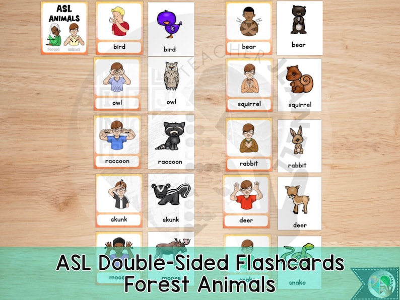ASL Forest Animals Flash Cards American Sign Language ASL - Etsy